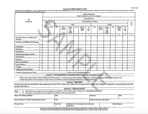 EEO-1 Overview: What Is An EEO-1 Report and Who Is Required To Submit One?